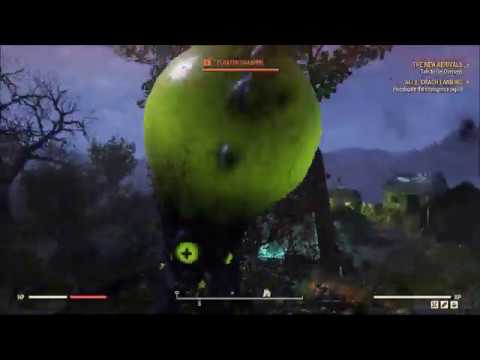 Fallout 76 Floaters - YouTube