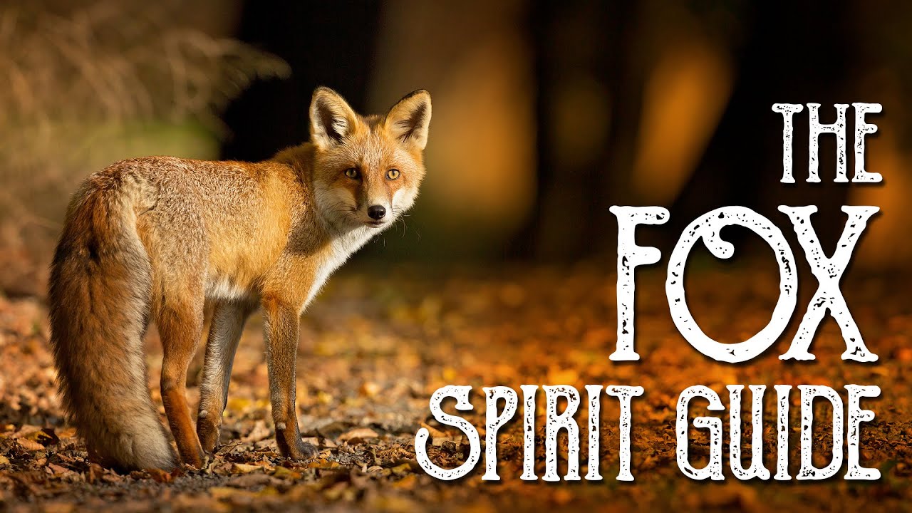The Fox Spirit Guide - Ask the Spirit Guides Oracle Totem Animal ...