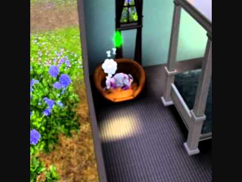 Sims 3 Pets - Poodle Sleeping - YouTube