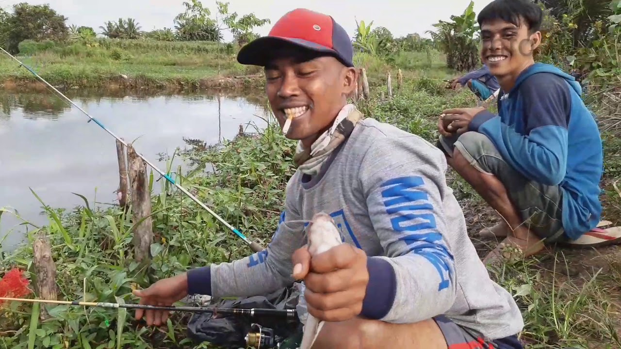 Mancing Mania || Pemancing Amatir VS Pemancing Profesional dengan umpan ...