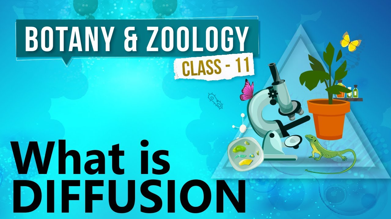 What Is Diffusion - Plant Water Relation and Mineral Nutrition ...