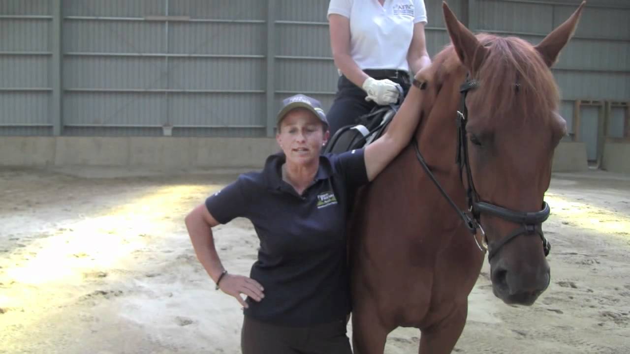 Fiber Fresh Feeds Equine TV: EP 30 - Correct lead in canter - YouTube