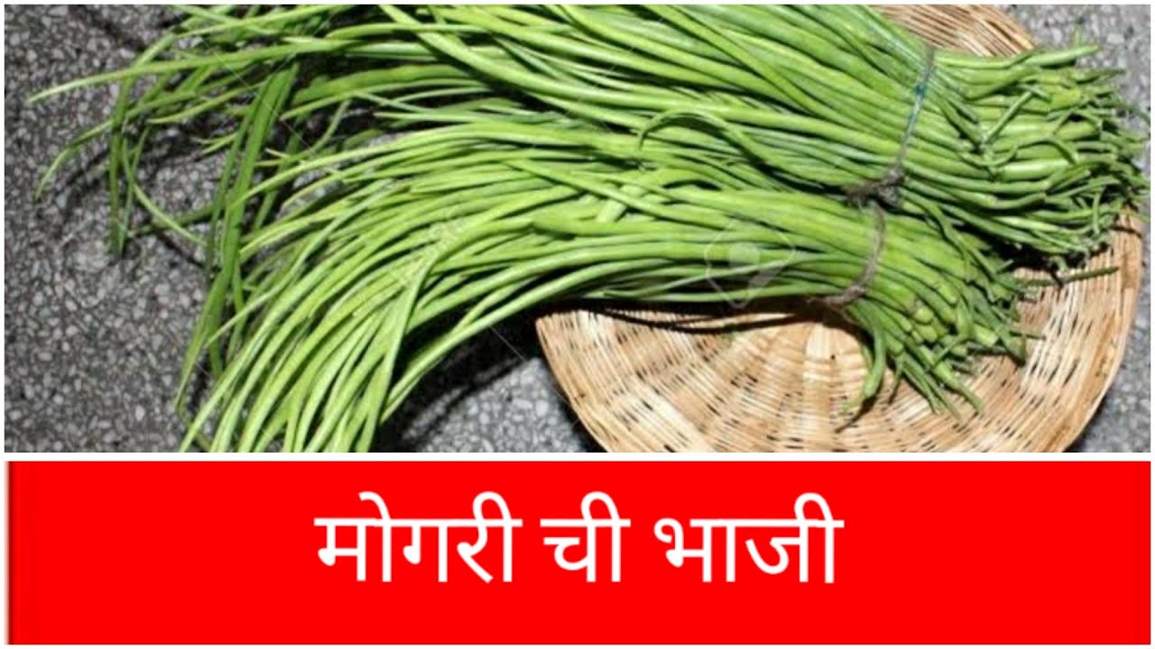 मोगरी ची भाजी (mogri chi bhaji ) - YouTube