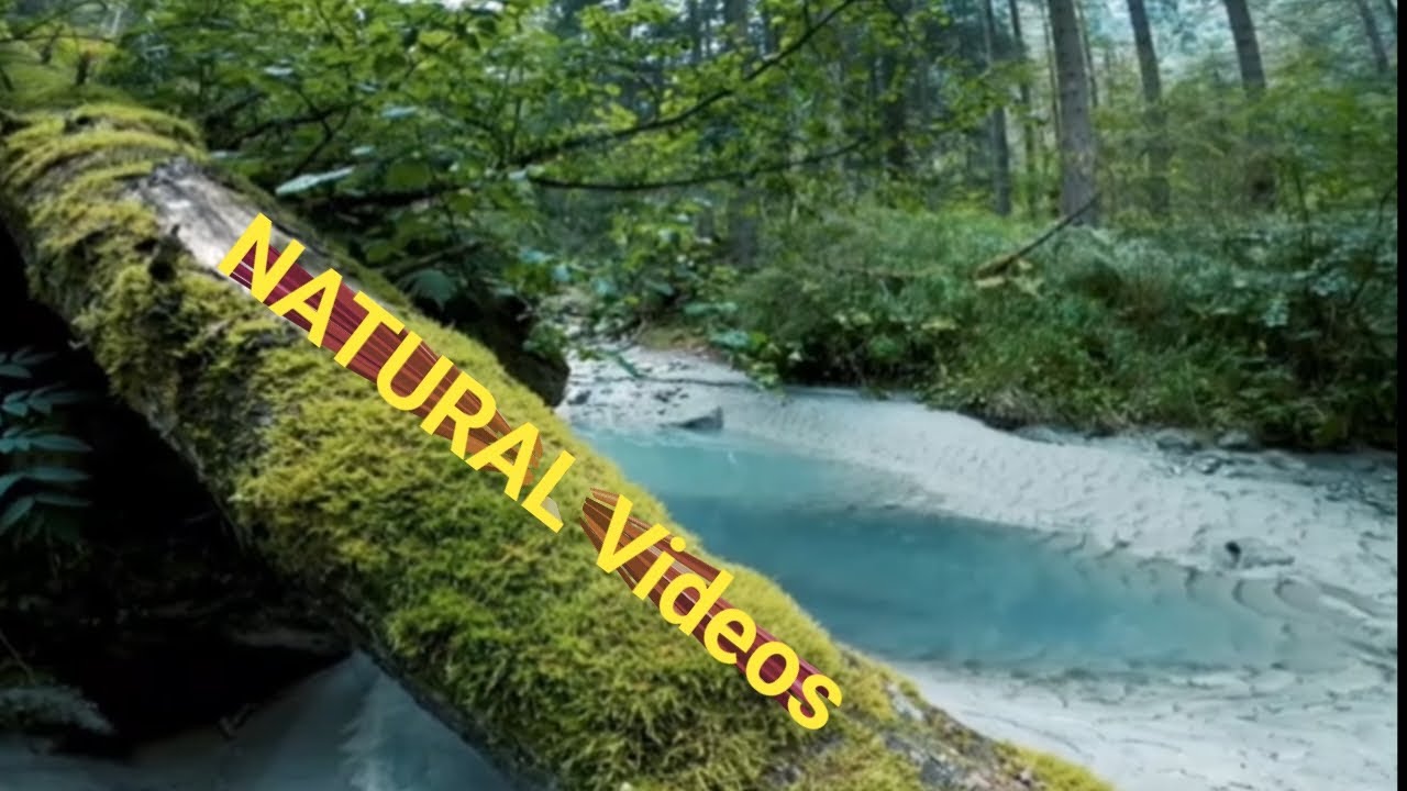 Natural videos - YouTube