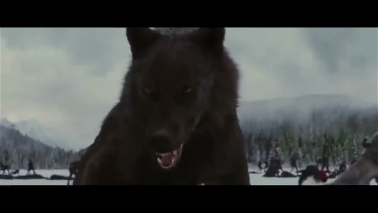 Twilight Wolves ~ what I’ve done - YouTube