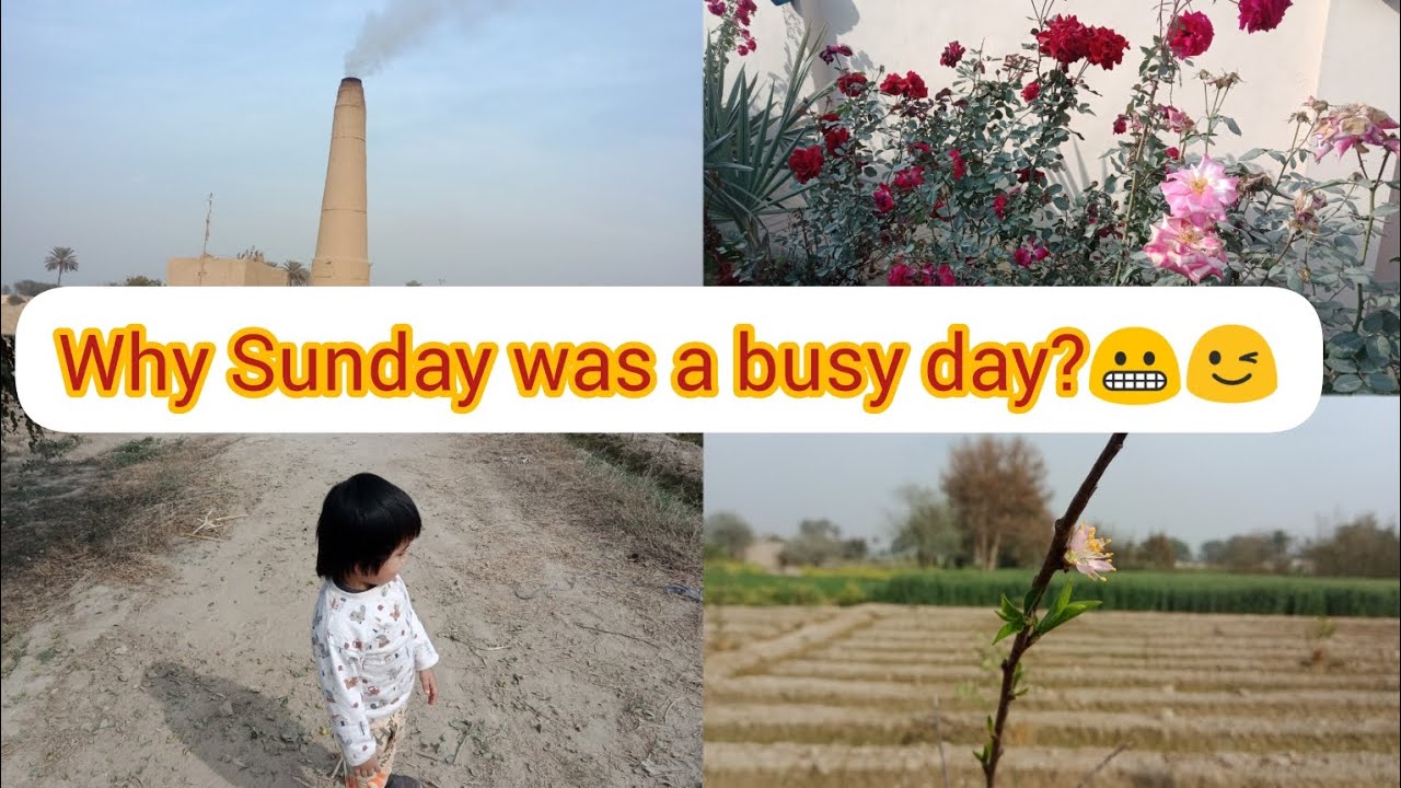 Why Sunday was a Busy day? / busy sunday / hectic sunday / sunday ...