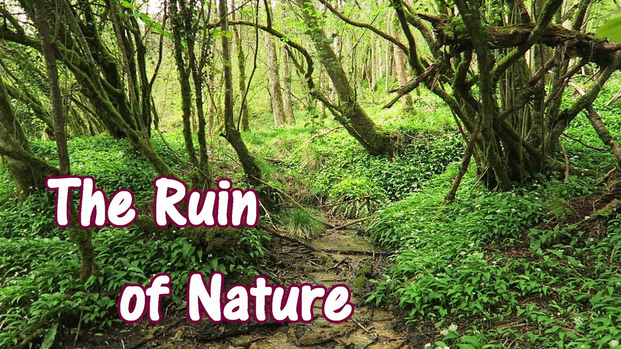 Please Stop Ruining Nature - YouTube