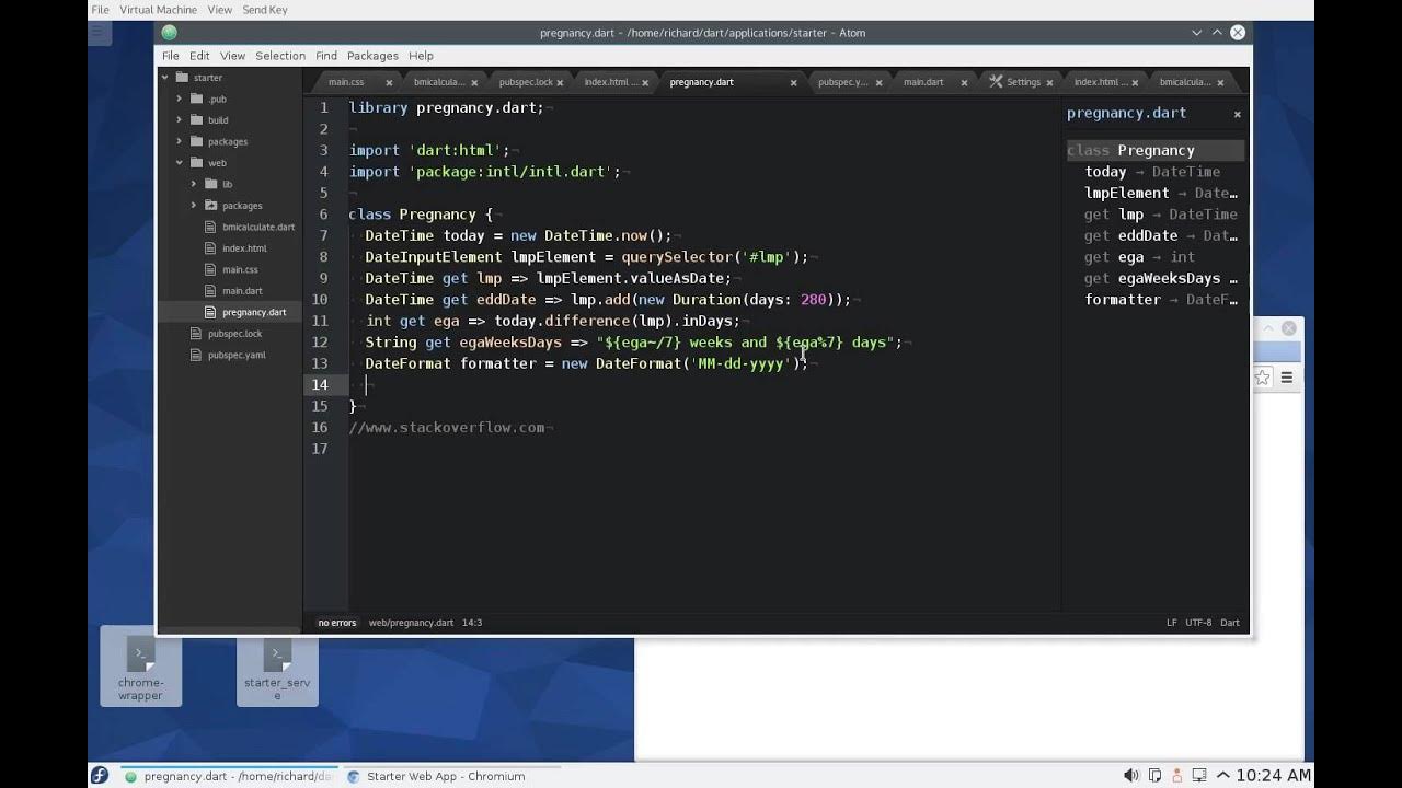 Dart Web Programming for Beginners: 19 Formatting the Pregnancy Calculator - YouTube