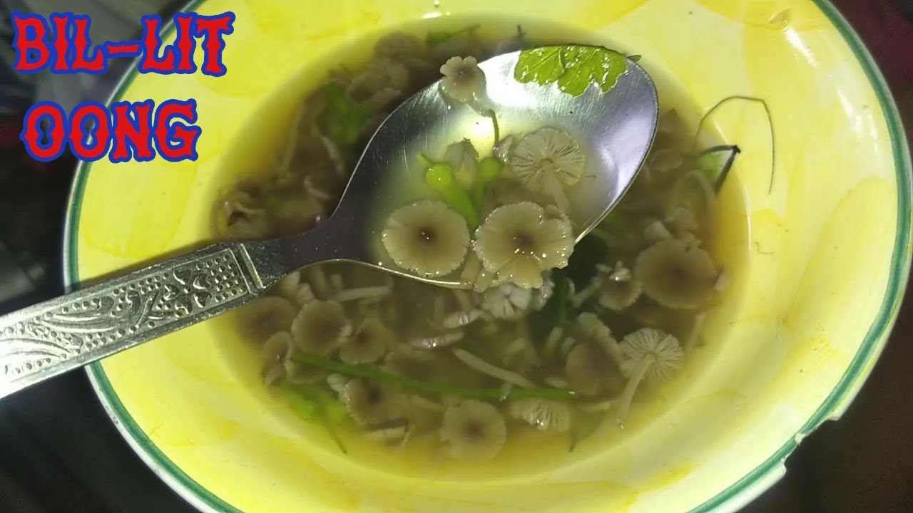 BIL-LIT OONG + EXOTIC & RARE KIND OF MUSHROOM + FIRST TIME TO EAT - YouTube