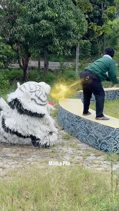 Can macanan pingsan kena kentut Kak Bisma - YouTube