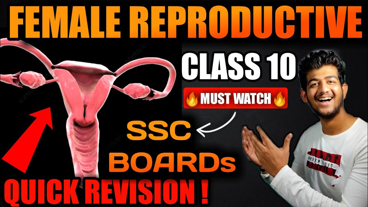 FEMALE REPRODUCTIVE SYSTEM | CLASS 10 | QUICK REVISION in 24 MINUTES ...