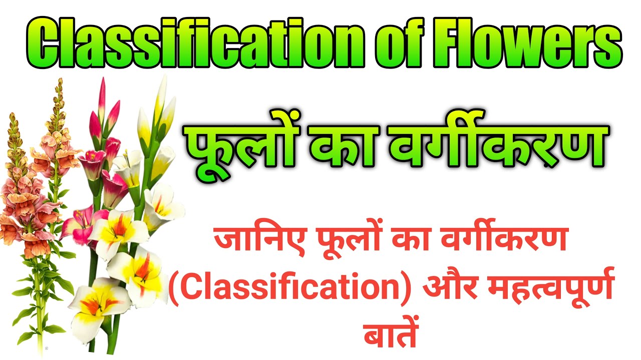 Classification of Flowers | फूलों का वर्गीकरण | - YouTube