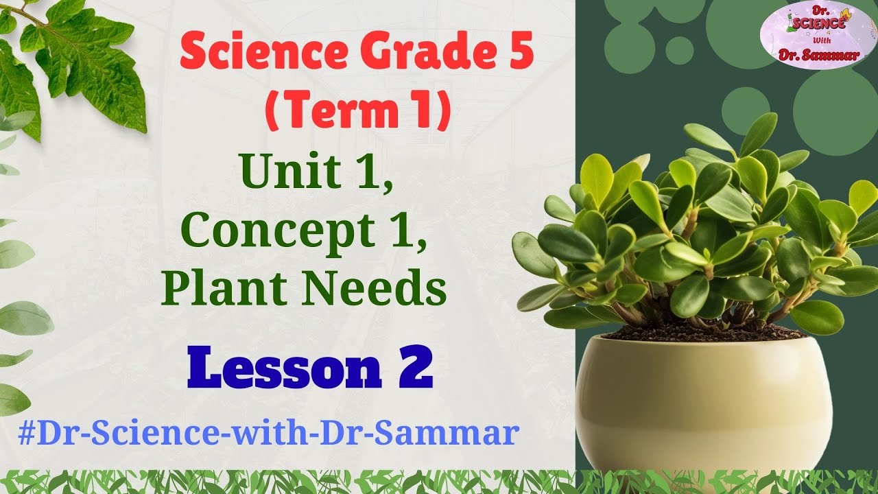 "🌱 Science | Grade 5 | Term 1 | Unit 1 | Concept 1 | Photosynthesis ...