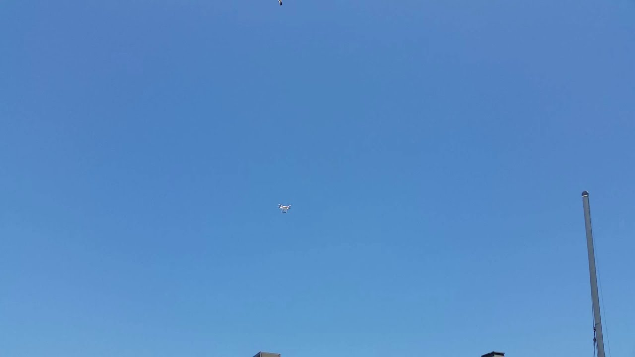 Sea Gull Birds Swooping & Dive Bomb Attacking Drone - DJI Phantom 2 ...