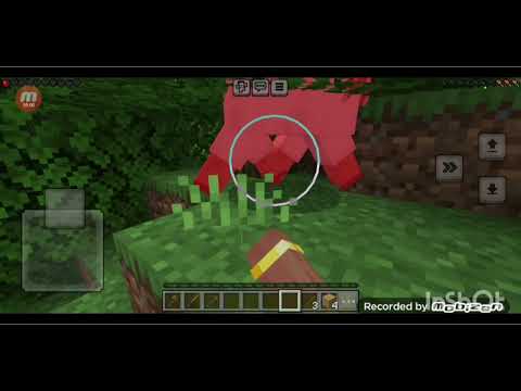Minecraft Part 1