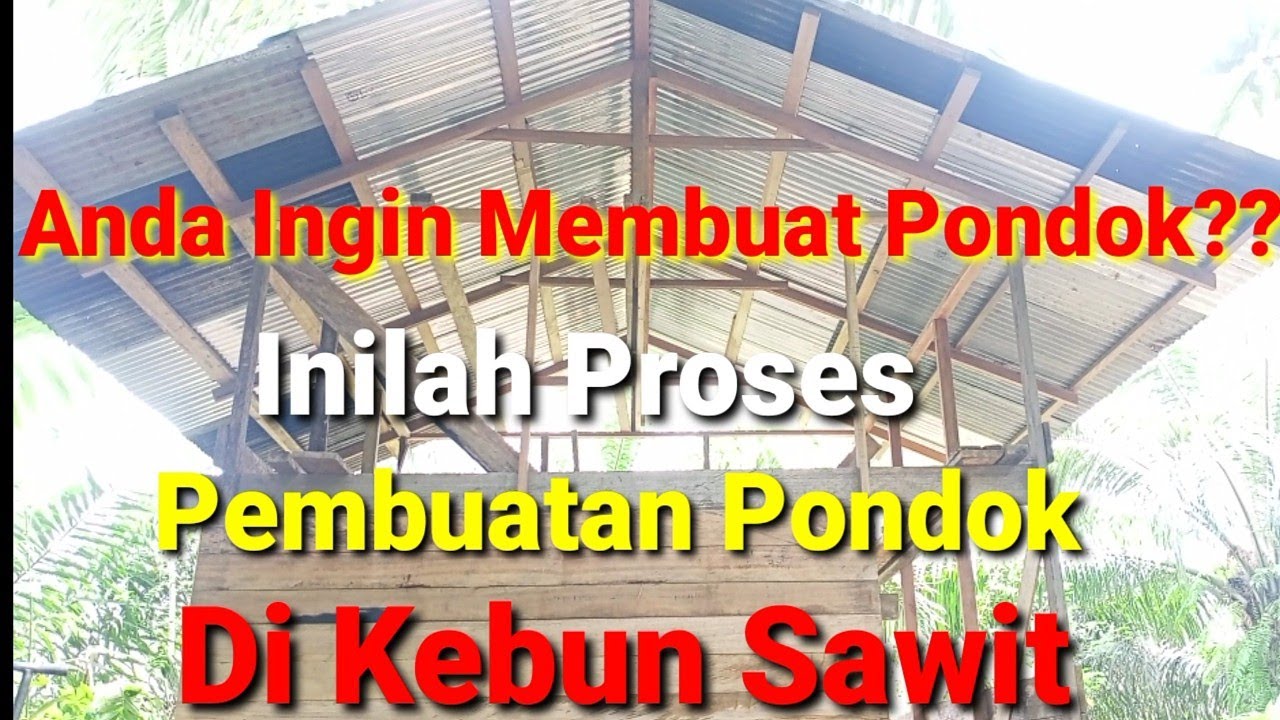 Pembuatan Pondok Di Kebun ll Pondok Istirahat di Kebun Sawit - YouTube