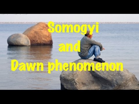 Medical Video Lecture: Somogyi effect Vs Dawn Phenomenon