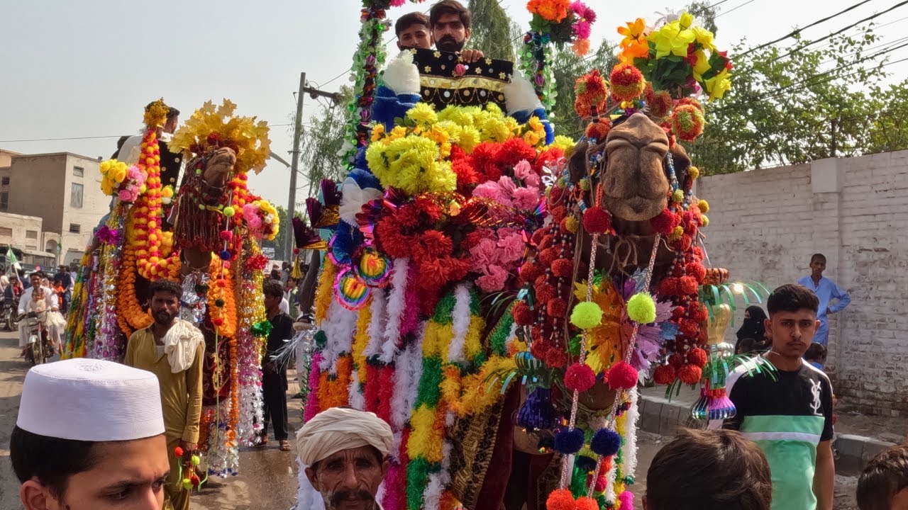 How Muslims celebrate 12 Rabi Ul Awal Jashan Eid Milad un Nabi 2024 ...