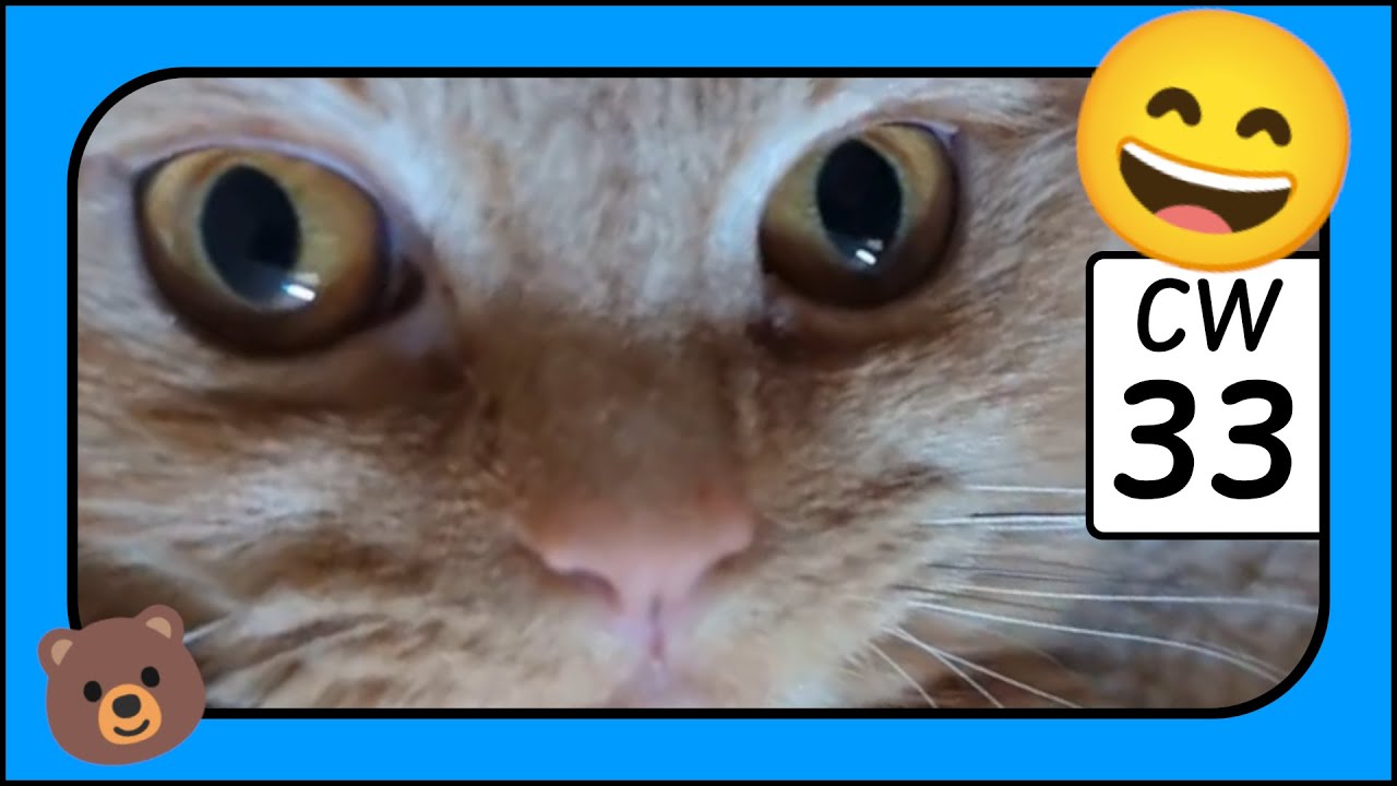 Monday Recharge - CW33 - YouTube