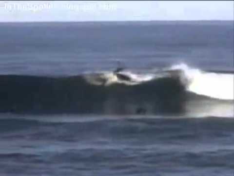 Surfing Shark Attack with Two Great White Sharks - YouTube