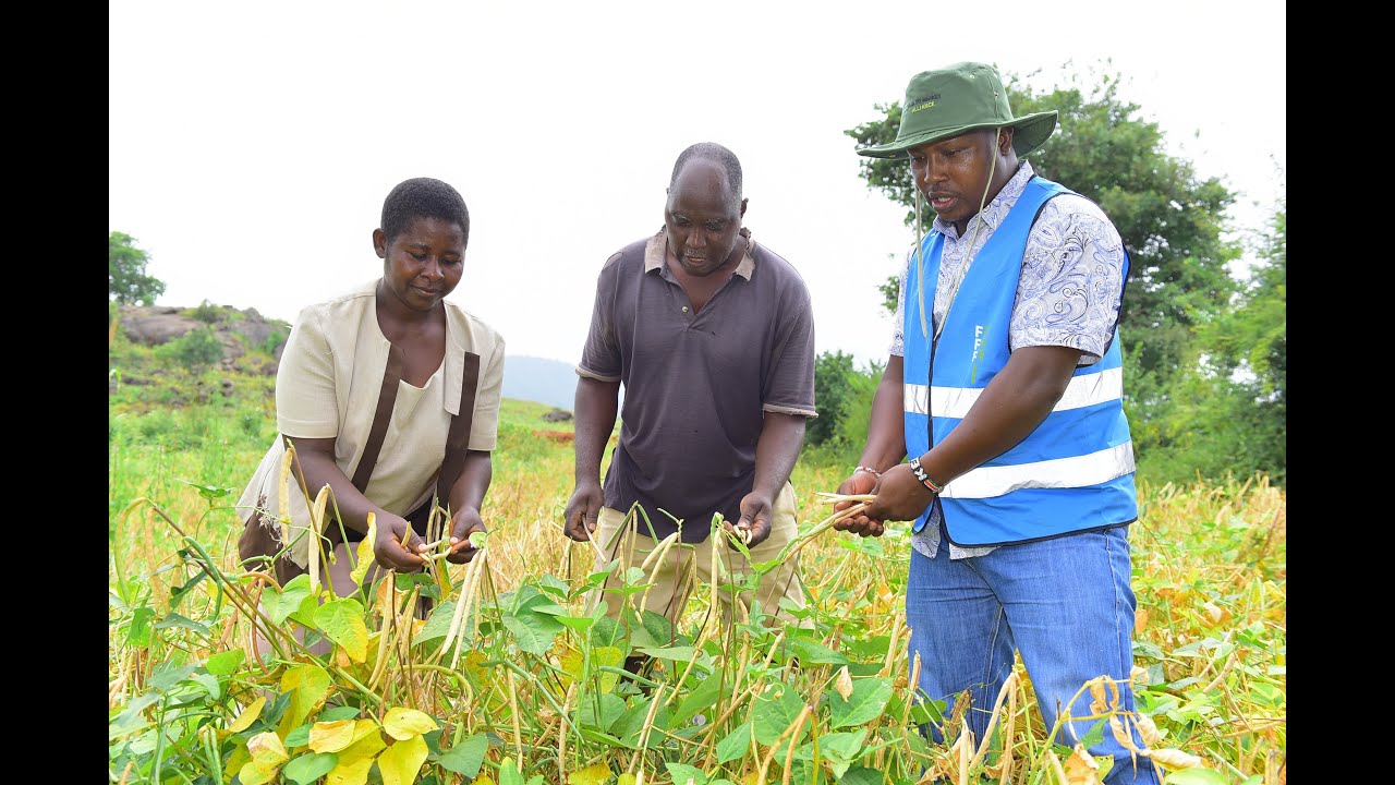 PAFID - FtMA CA Success Stories - Conservation Agriculture impacting ...