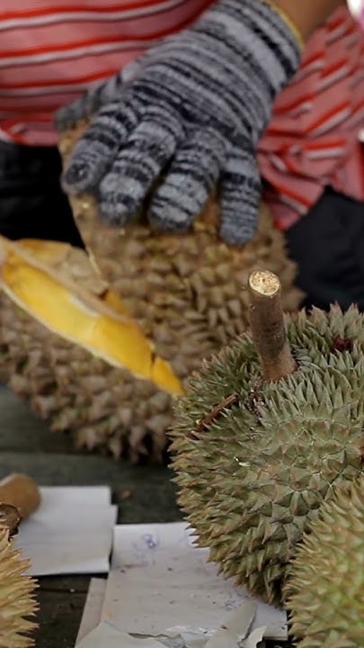 What does durian smell like?#shorts - YouTube
