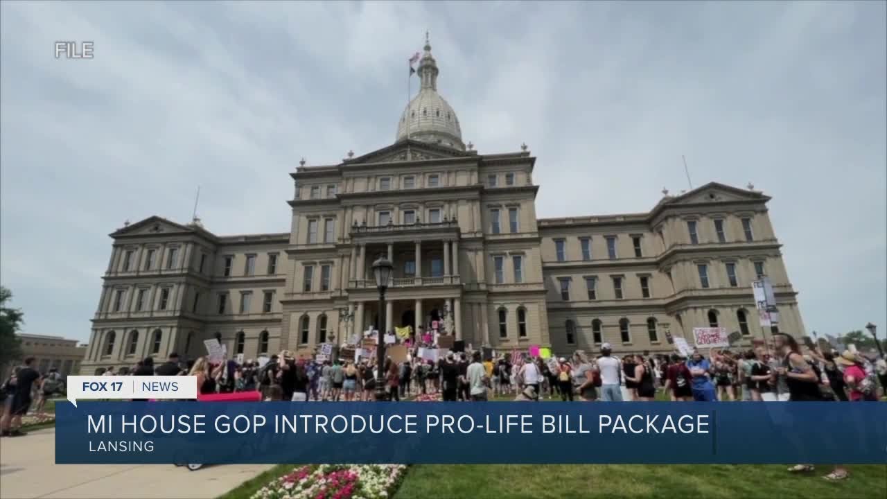 MI House GOP introduce pro-life bill package - YouTube