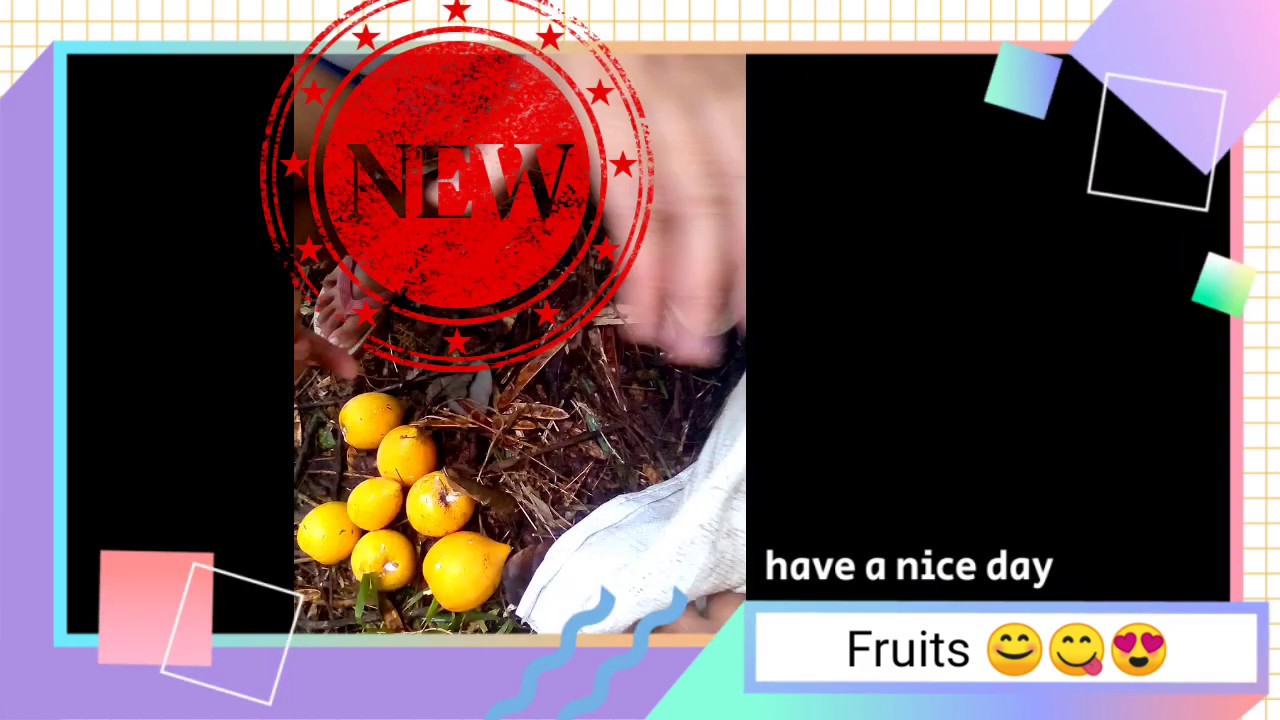 Hunting Wild Fruits 😋 - YouTube