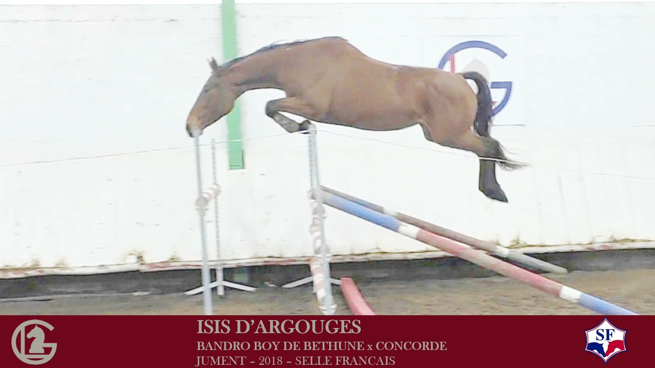 ISIS D'ARGOUGES - YouTube