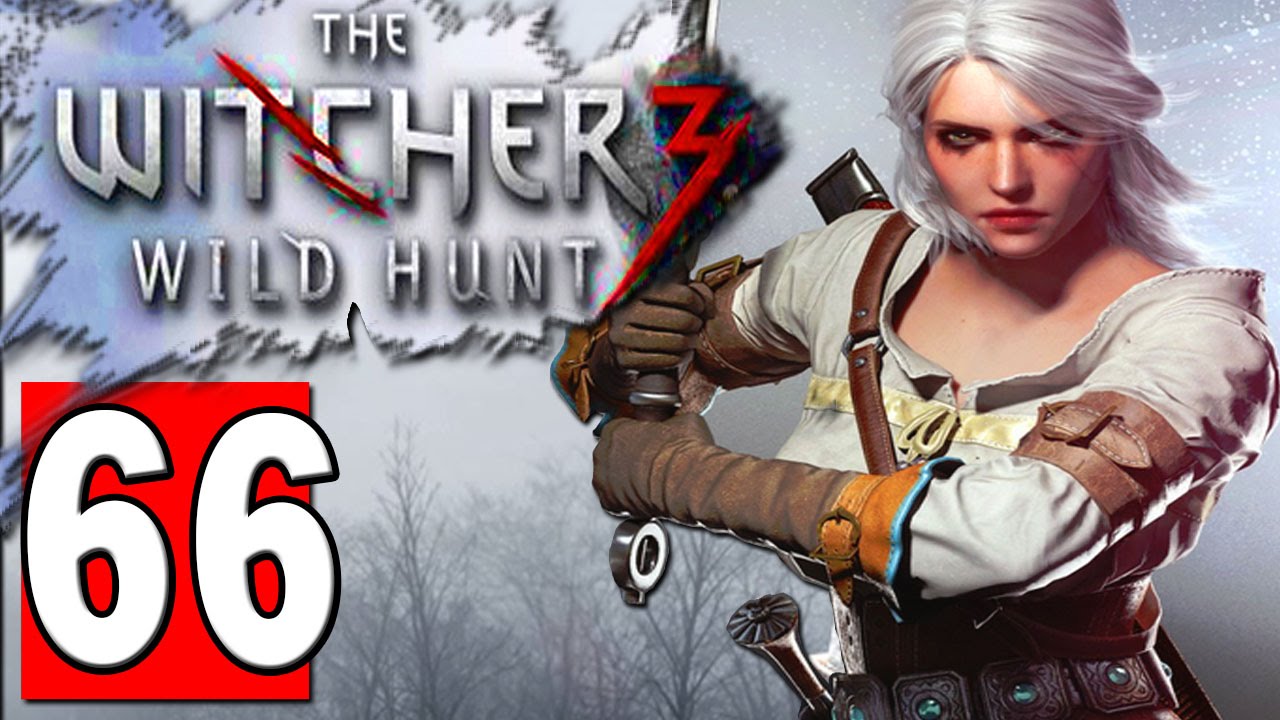 The Witcher 3 Walkthrough Part 66 QUEST FINAL PREPARATIONS / THROUGH ...