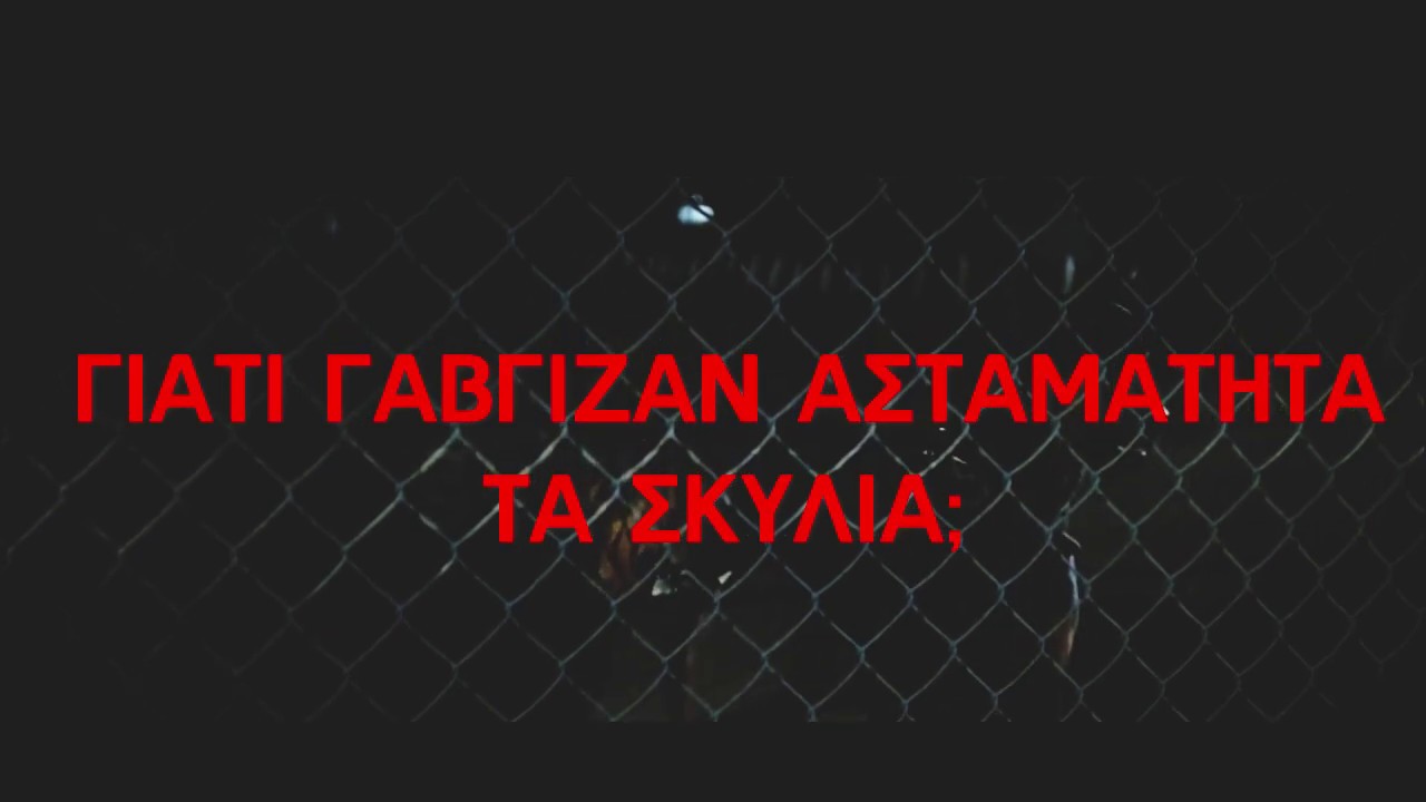 FOS 14 DEC - YouTube