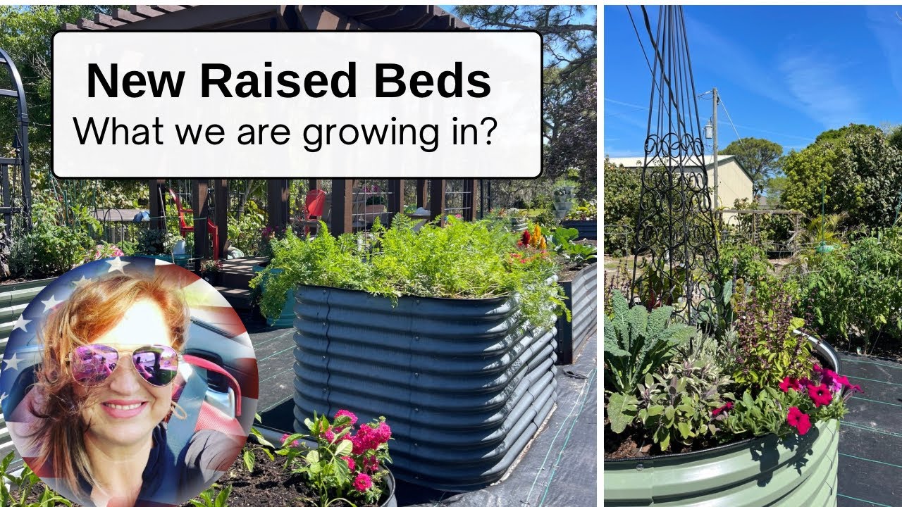 New Raised Beds & Trees in Containers: My Florida Garden Update - YouTube