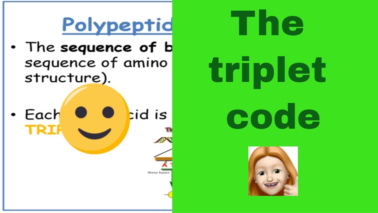 The triplet code. A-level Biology. AQA - YouTube