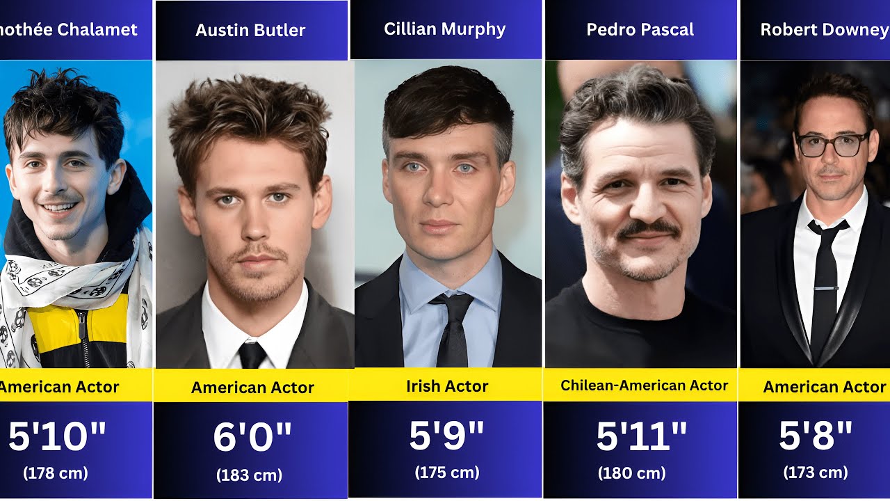 Top 10 Hollywood Actors Height Shocker Shortest To Tallest Youtube 8301