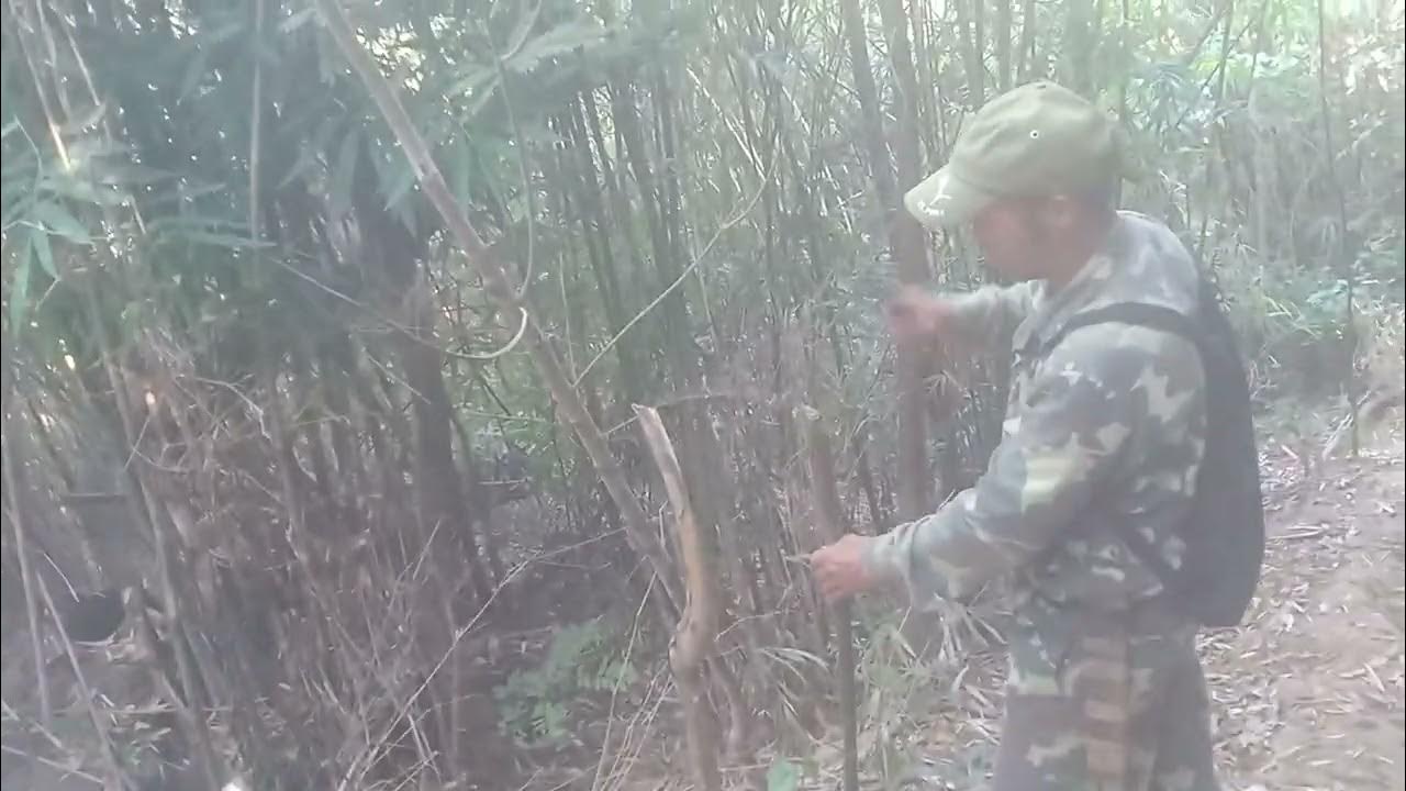 hnub nos owb ob kwv tij mus saib ciam teb os - YouTube