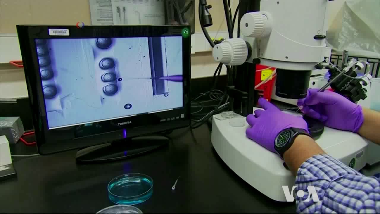 Embryo Gene Editing is Still a Long Way Off - YouTube