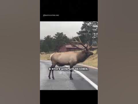 Спасибо большое ️ И огромный поклон добрым людям 🙌 - YouTube