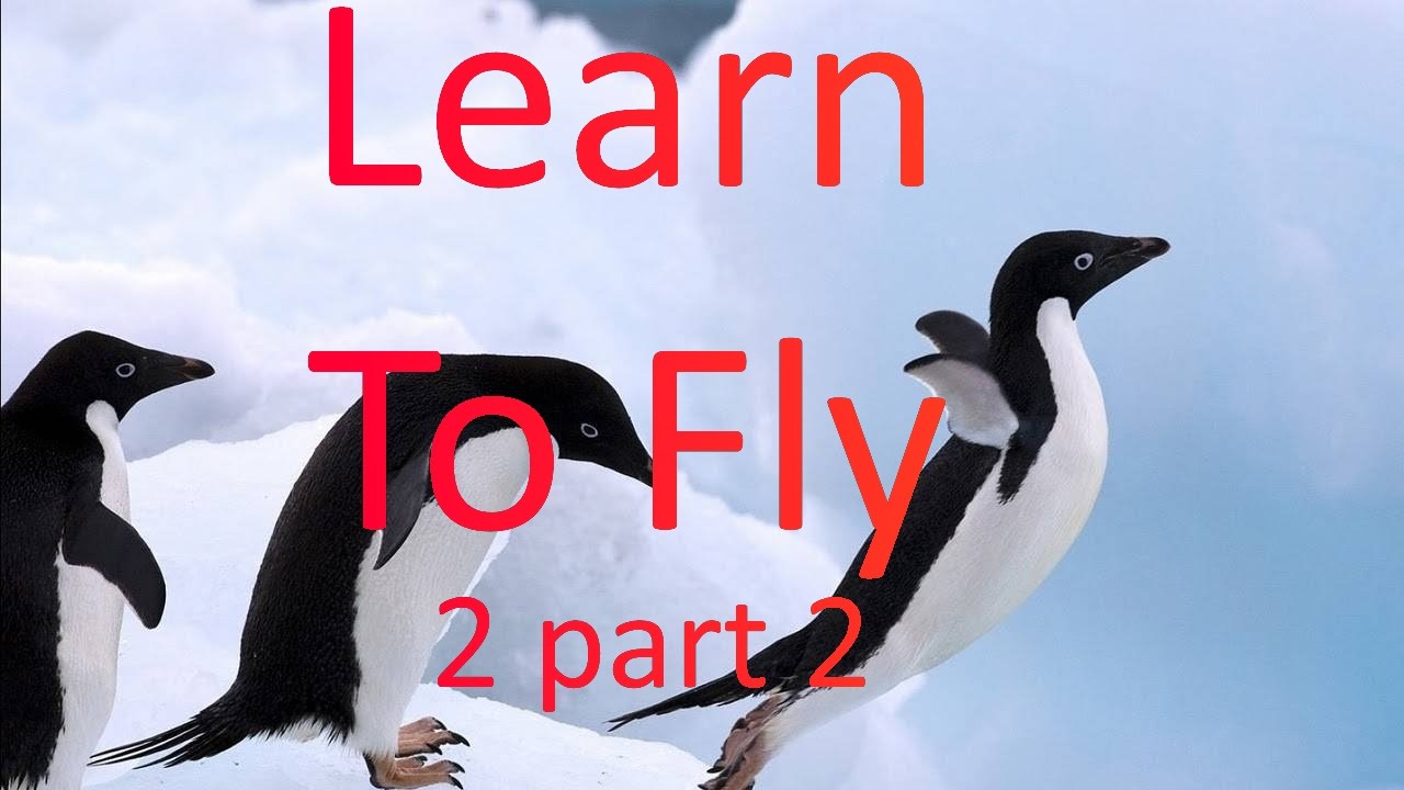 Learn to fly 2 part 2 - YouTube
