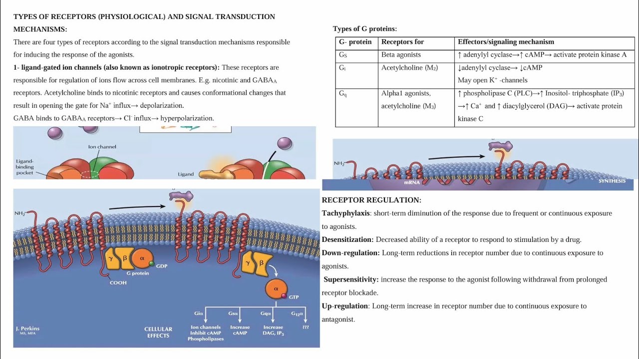 9- Understanding Pharmacodynamics: Types of Receptors and Signal ...