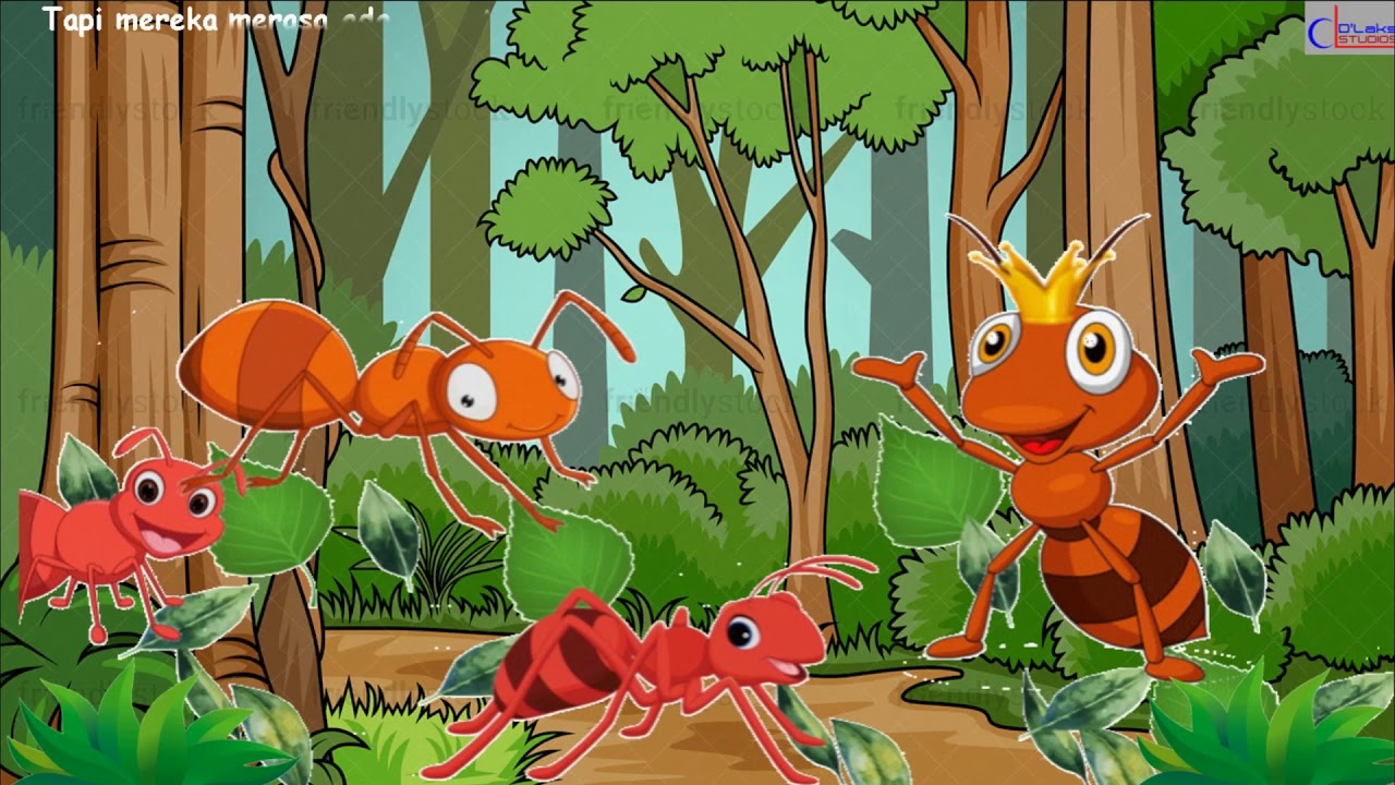 Raja Semut dan Kakatua - YouTube