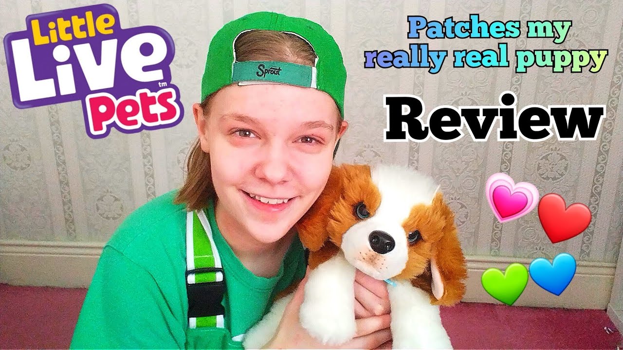 SparkleGlitz || Little live pets Patches Review - YouTube