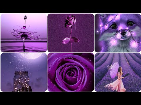 Unique Wallpapers and Dpz | Whatsapp Dpz | Purple Wallpapers