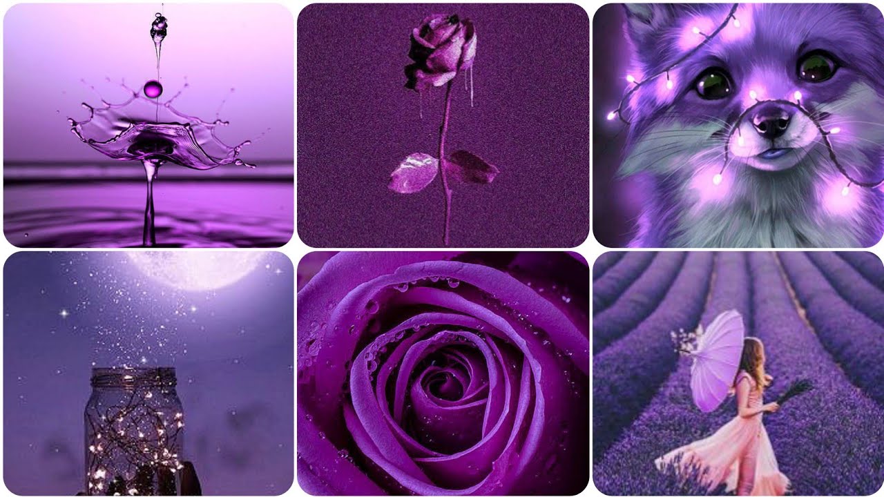 Unique Wallpapers and Dpz | Whatsapp Dpz | Purple Wallpapers - YouTube