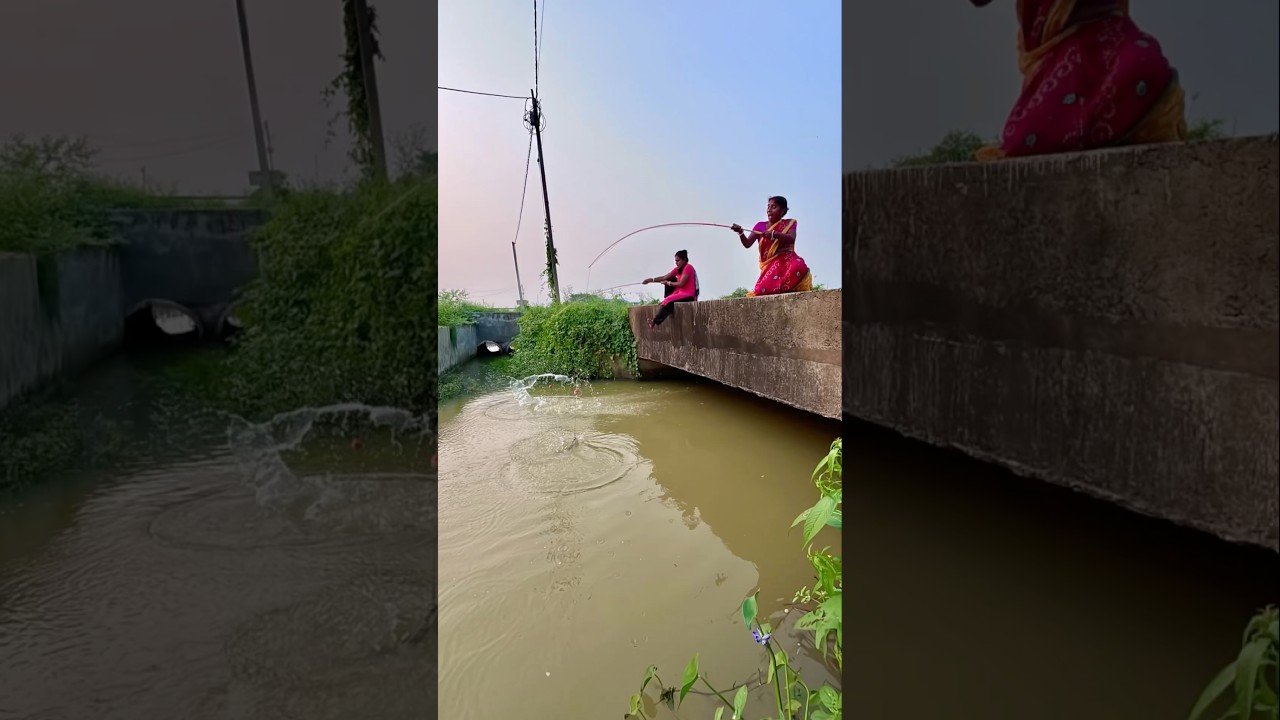 Amazing Hook Fishing By Two Lady #hookfishtrap #fishingmethods # ...