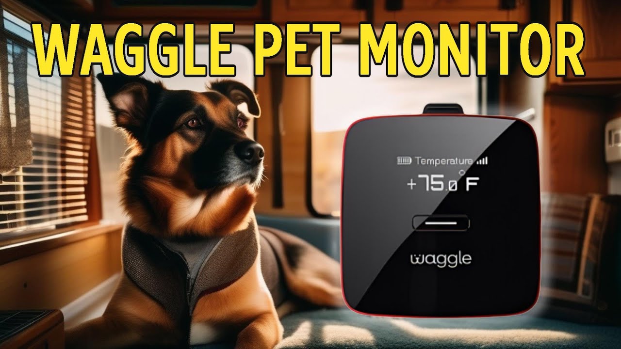 Waggle Pet Monitor Review: Keep Your Pets Safe While RVing | #1 ...
