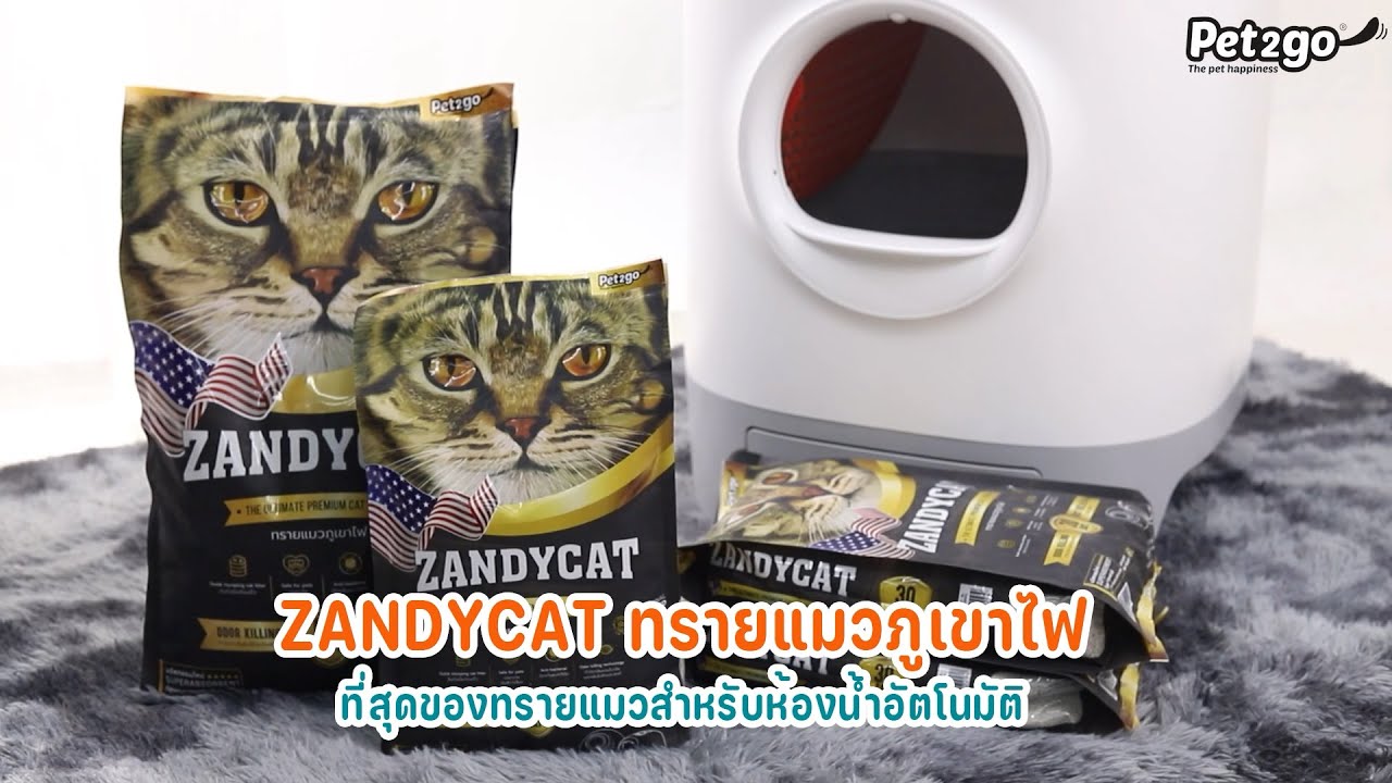 ZANDYCAT ทรายแมวภูเขาไฟ ที่สุดของทรายแมวสำหรับห้องน้ำอัตโนมัติ - YouTube