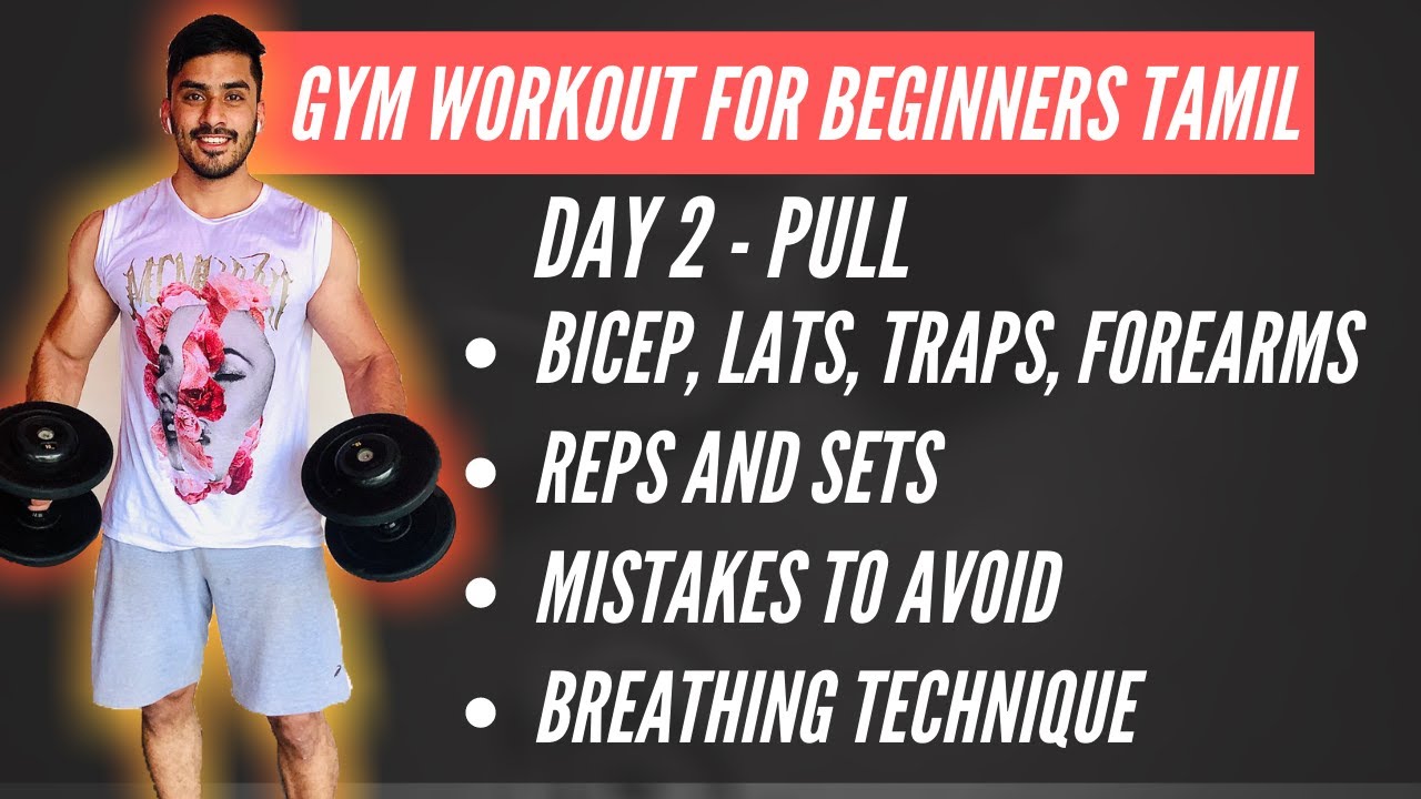 Gym workout for beginners Tamil: Day 2 | Pull day | Biceps, Lats and ...