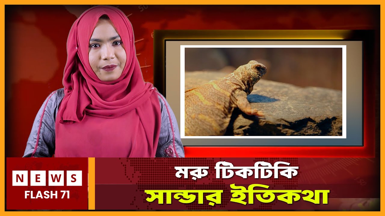 মরু টিকটিকি সান্ডার ইতিকথা | Sanda | Desert lizard | NewsFlash71 - YouTube