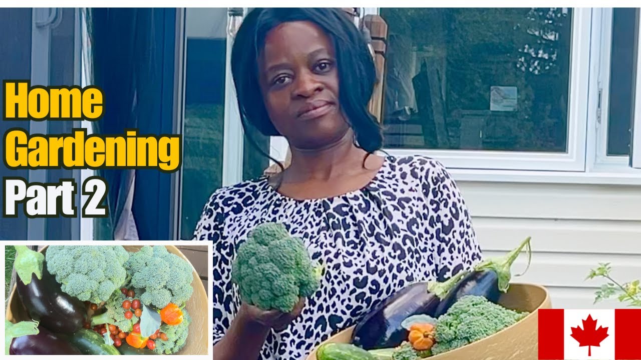 Backyard Gardening in Canada | How I Solved My Biggest Plant Problems ...