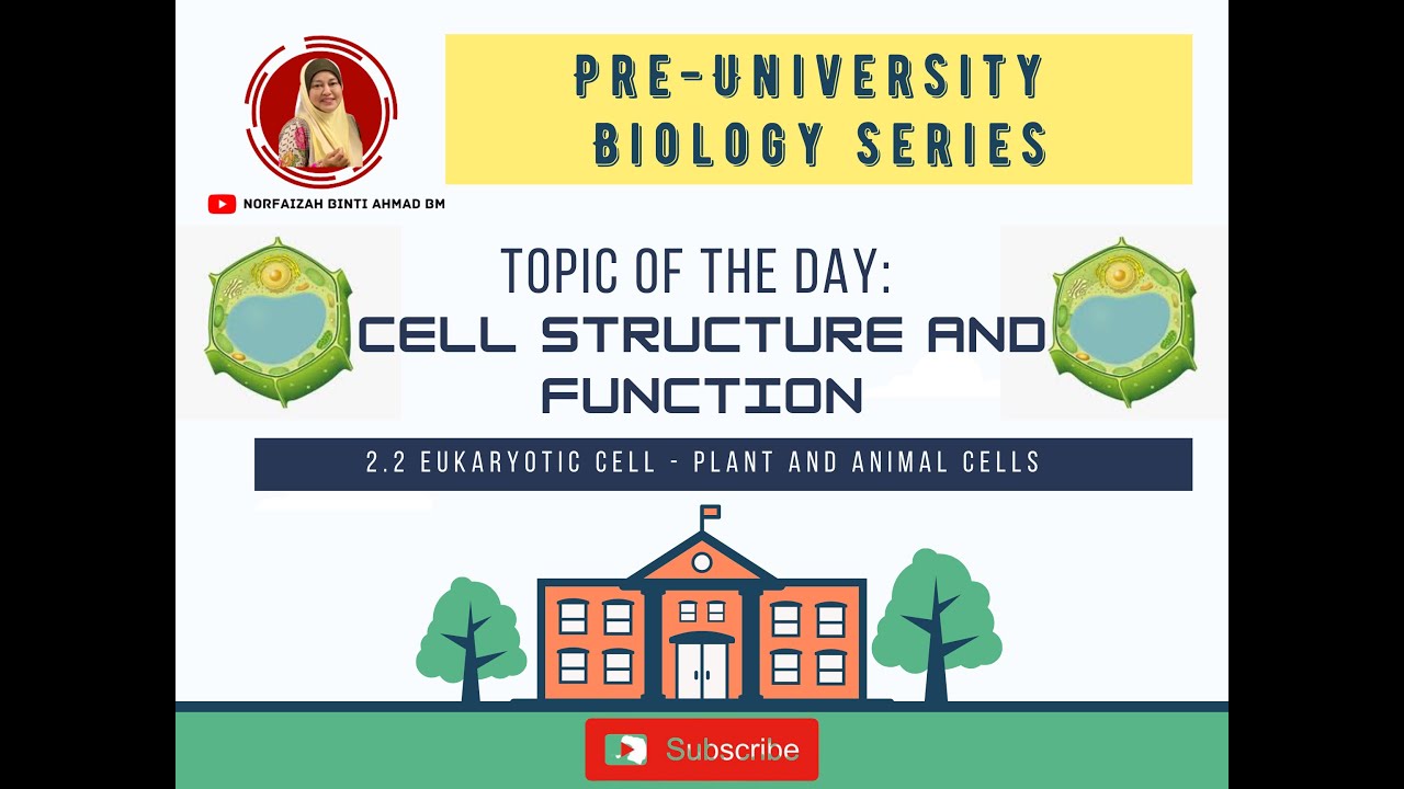 PRE-UNIVERSITY BIOLOGY SERIES: CELL STRUCTURE & FUNCTION (EUKARYOTIC ...